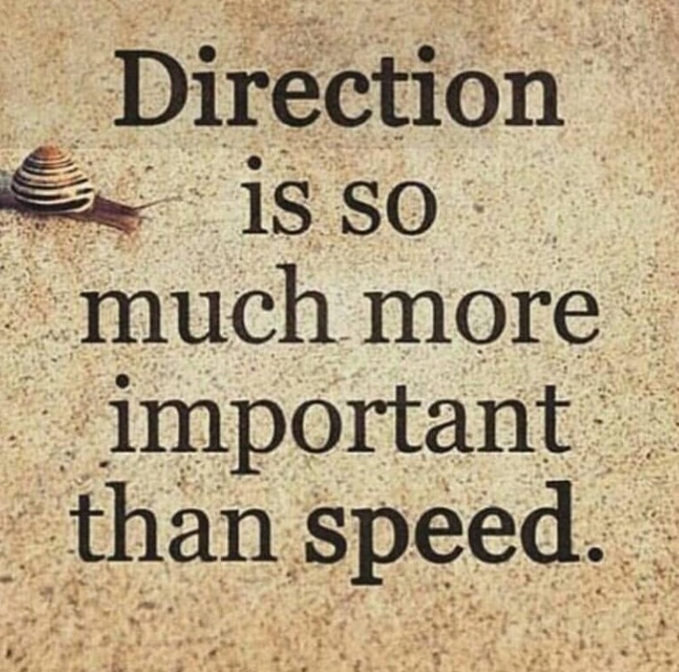 Direction is so much more important than speed! – José Irineu R. Jr.