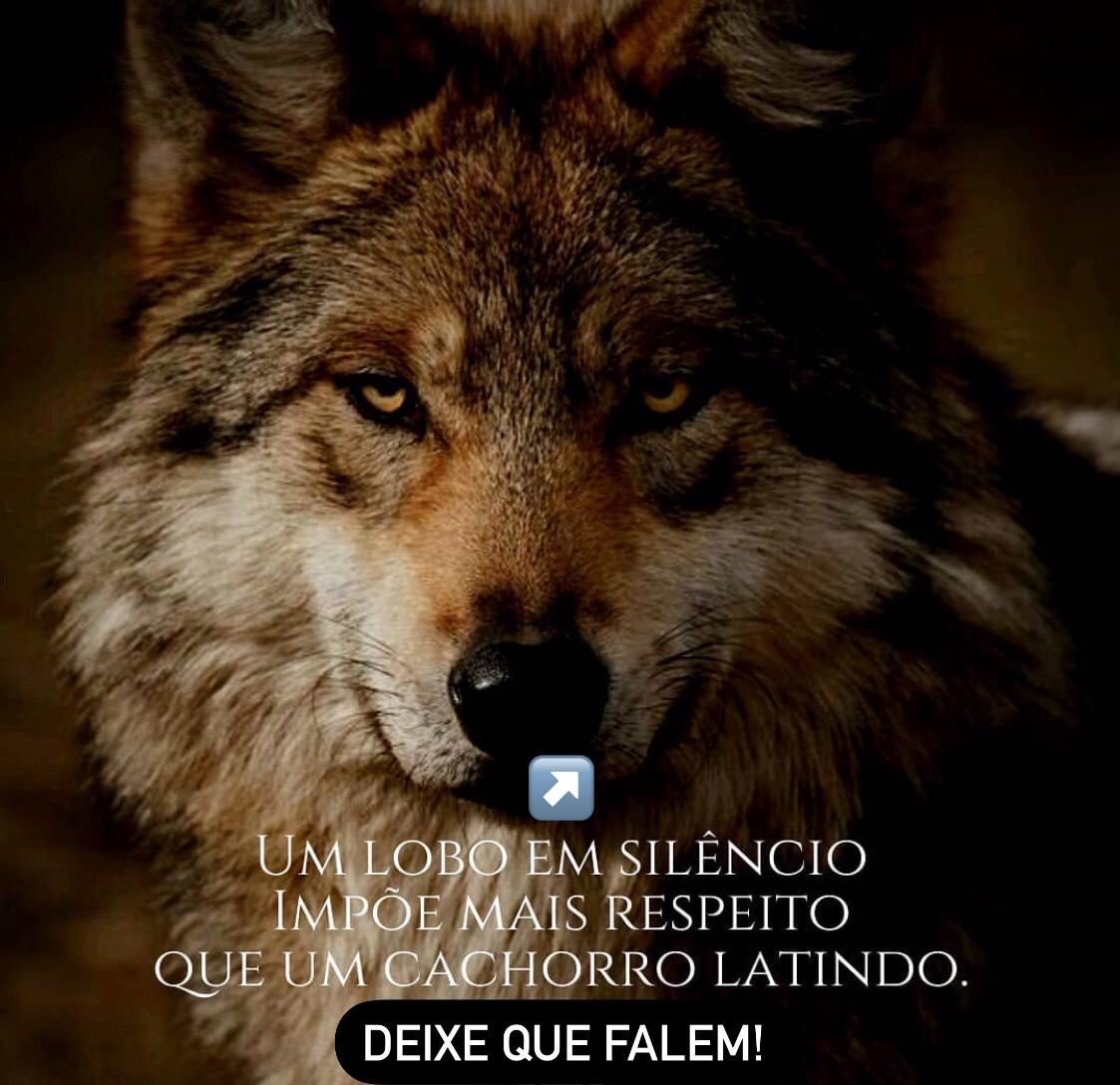 Um lobo em silêncio impõe mais respeito que um cachorro latindo! – José ...