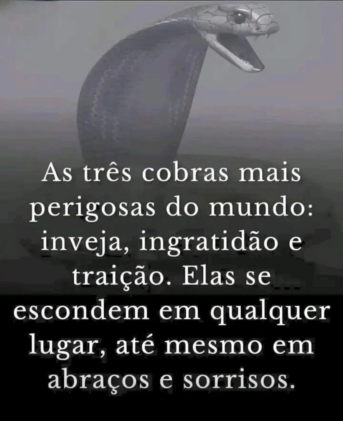 As três cobras mais perigosas do mundo… – José Irineu R. Jr.